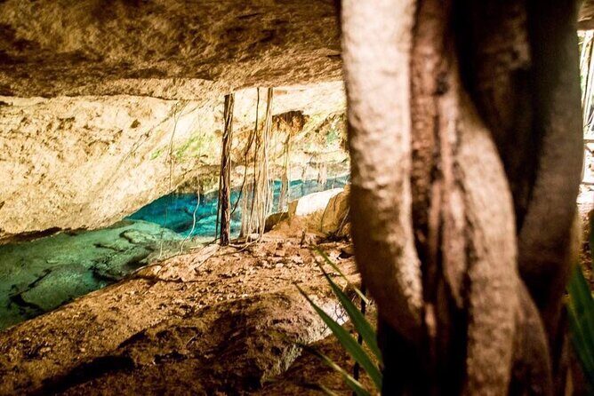 General Admission Ticket to Chikin Ha in Playa del Carmen - Key Points