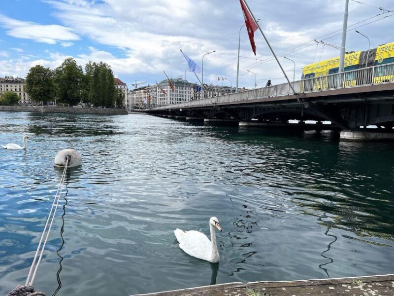 Geneva: Complete Tour, UN area & Old City (Hotel PICK-UP) - An In-Depth Look at the Geneva Tour