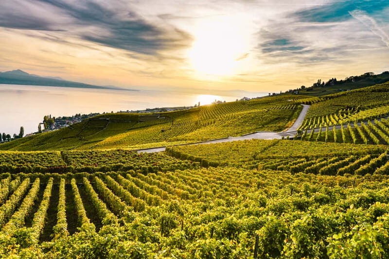 Geneva: Montreux, Chaplins World, Chillon Castle & Apéritif - Who Is This Tour Best For?