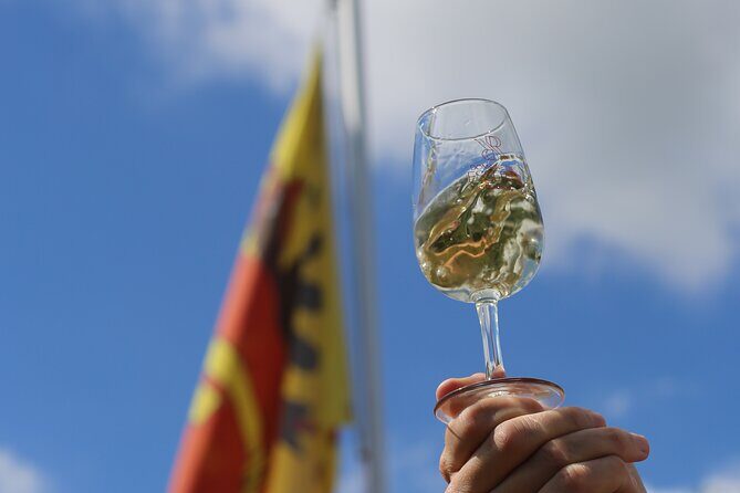 Geneva Panoramic & Tasting Vineyards Tour in an Tuk Tuk - FAQ