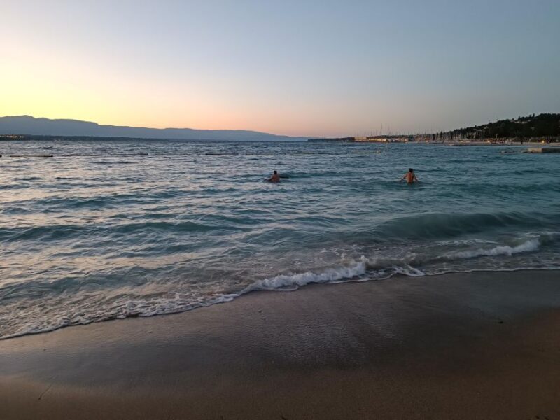 Geneva: Private Walking Tour with a Local Guide - Practical Aspects & Tips