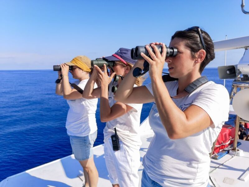 Genoa: Cetacean Watching Cruise with Marine Biologist Guide - An In-Depth Look at the Cetacean Watching Cruise
