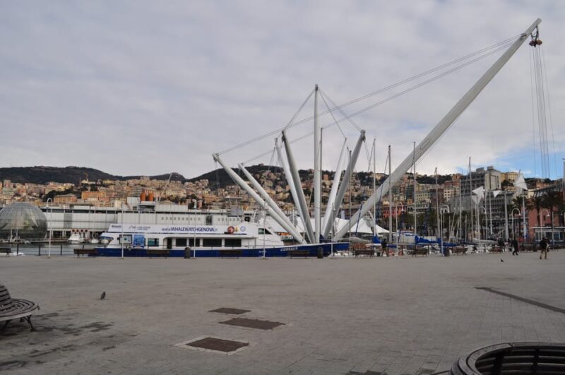 Genoa: Half-Day Tour to Portofino - Who This Tour is Best For