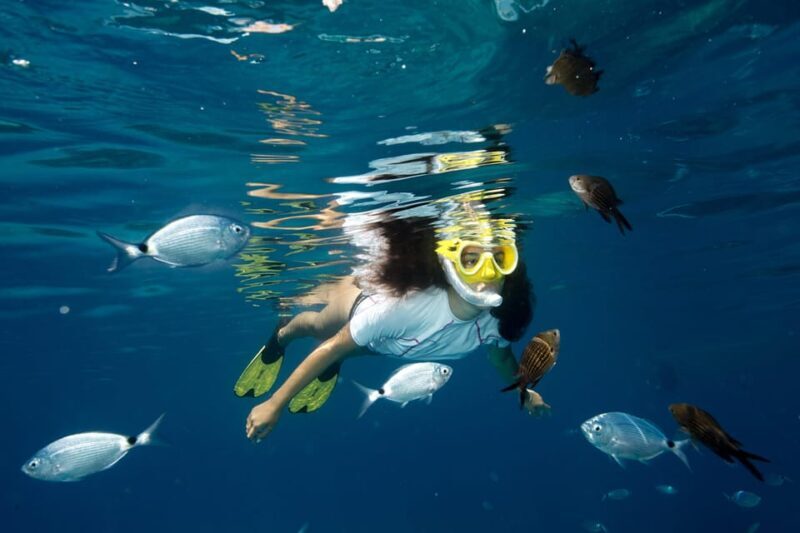 Genoa: snorkeling a stone's throw from downtown - A Closer Look at the Experience