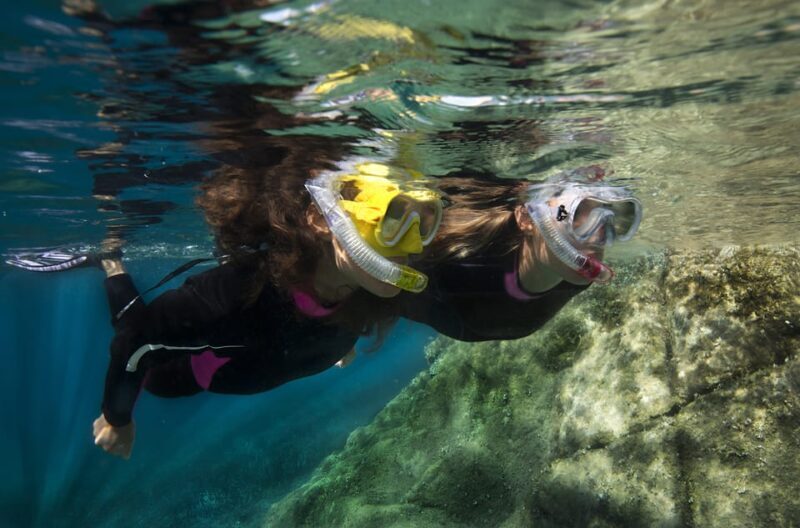 Genoa: snorkeling a stone's throw from downtown - Who Is This Tour Best Suited For?