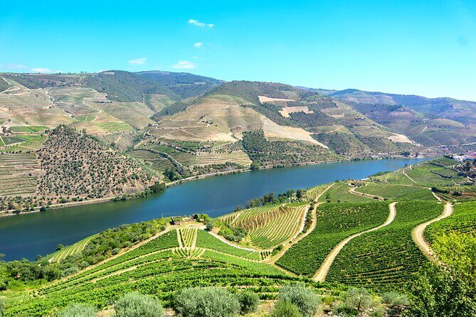 Genuine Douro Valley Tour: Visit 2 Wineries, Lunch & River Cruise - An In-Depth Look at the Tour Experience