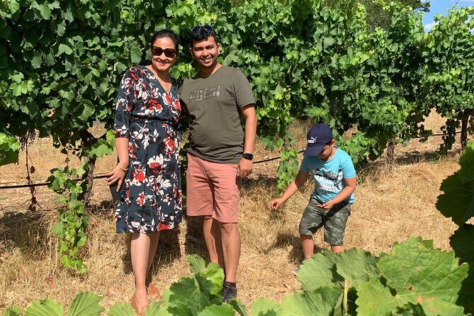 Geographe Wine Region Tour - FAQ