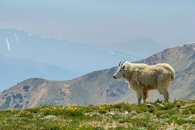 Georgetown via Guanella Pass Private Colorado Adventure Tour - Final Reflection