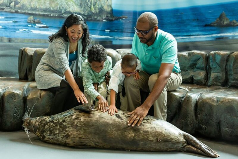 Georgia Aquarium: Sea Lion Encounter - Practical Details and Tips