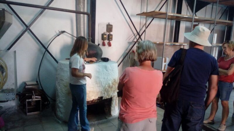 Georgioupolis Full-Day Land Rover Safari Experience - A Deep Dive into the Crete Land Rover Safari