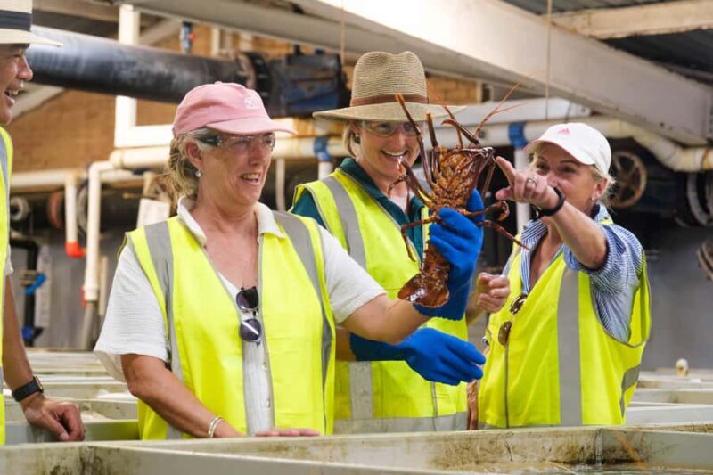 Geraldton: Behind-The-Scenes Ocean Harvest Tour - Key Points