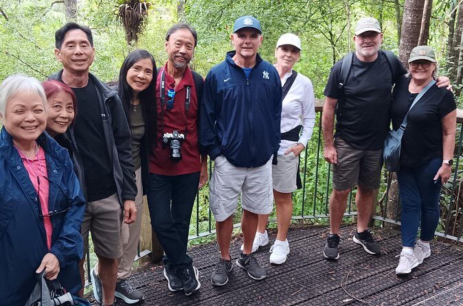 German Speaking Tour of Kawiti Glow Worm Caves, Opua Kauri Walk - Walking Through Opua Forest