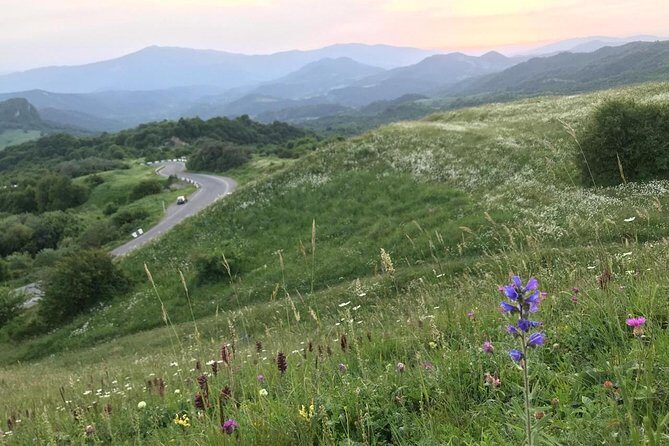 German village in Georgia (Elisabethal) & Wine tasting - The Vineyards and Wine Tasting with Raminashvilebis Marani