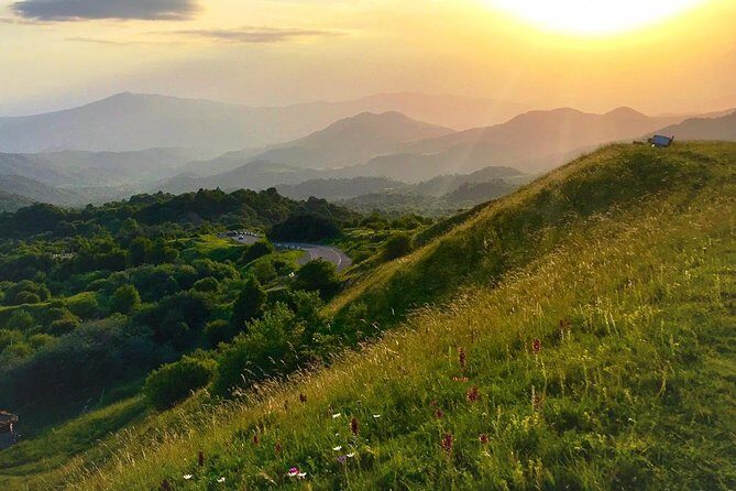 German village in Georgia (Elisabethal) & Wine tasting - Price and What You’re Getting