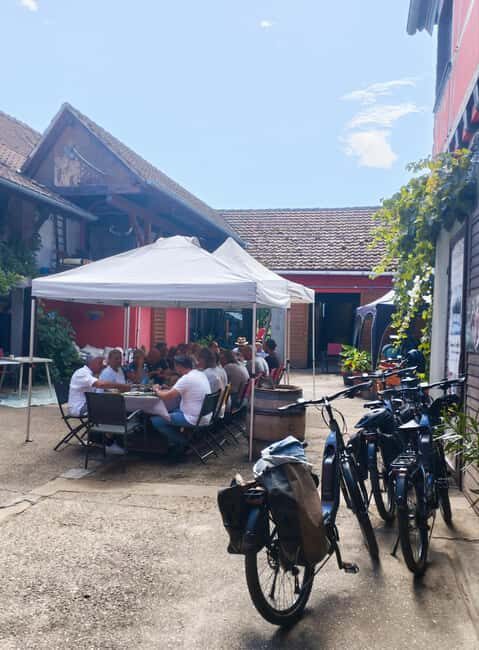 Gertwiller: Wine tasting and winemaker's snack - An In-Depth Look at the Experience