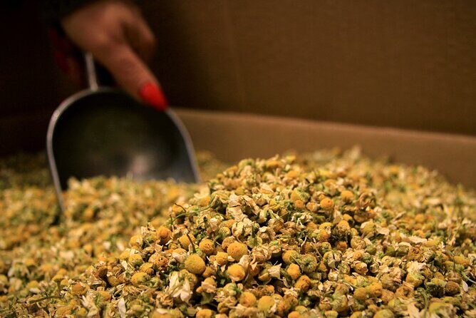 Get a Taste of Thessaloniki - Food tour to local tastes - The Sum Up