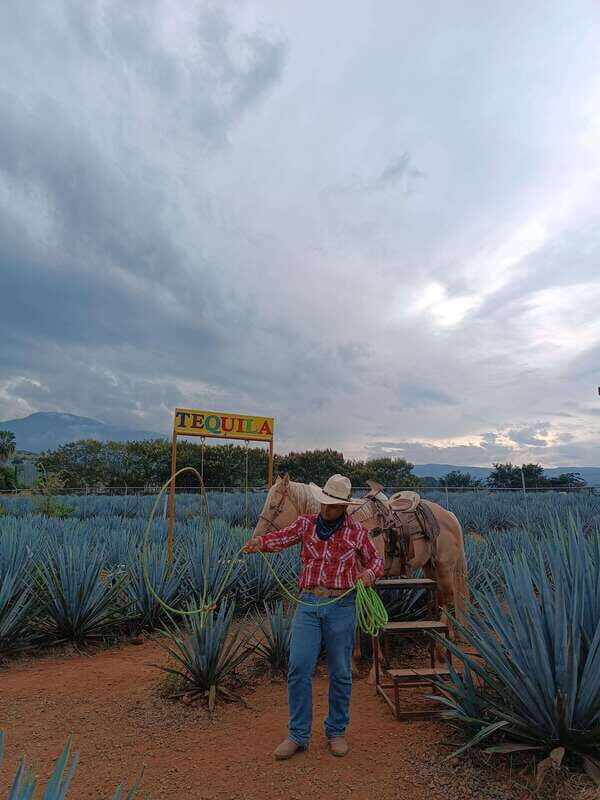 Get on Chile: know everything about tequila in "La Rienda" - Additional Considerations