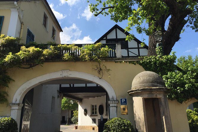 Get Pfalzed - wine tour to unique wine region to taste Red wines - Discovering the Pfalz Region – A Red Wine Haven