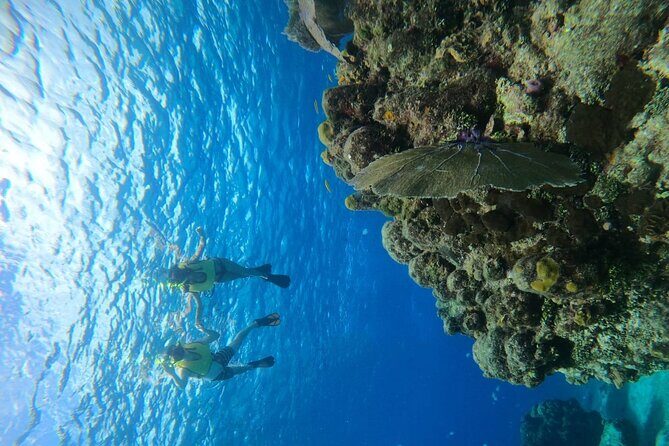 Get to know heaven on earth with Chivis del mar private - FAQ  