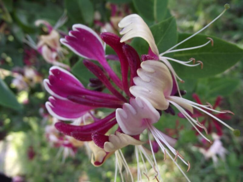 Get to know South Moravia with us. 6 hour tour. - The Practicalities: What’s Included and How It Works