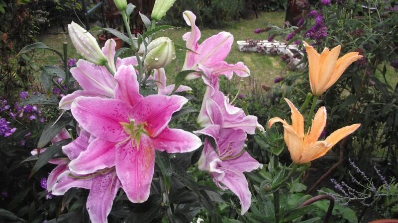 Get to know South Moravia with us. 6 hour tour. - The Sum Up: Who Should Book This Tour?