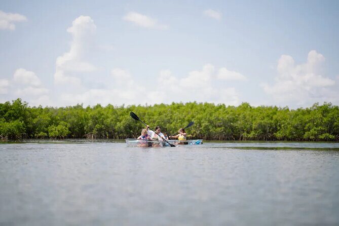 Get Up And Go Kayaking - New Smyrna Beach - FAQs
