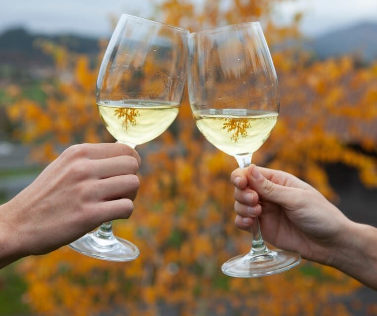 Getaria Txakoli wine tour from San Sebastian - Final Thoughts