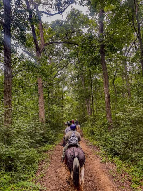 Gettysburg: 2 Hour Scenic Horseback Ride - The Horses and Guide Support  