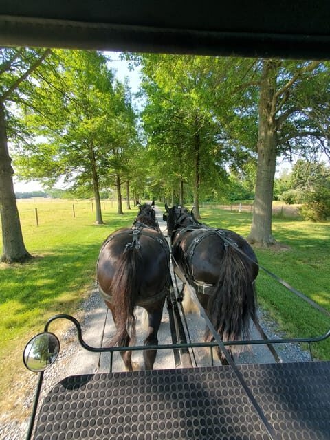 Gettysburg: Horse-Drawn Carriage Tour Countryside & Orchards - Practical Details