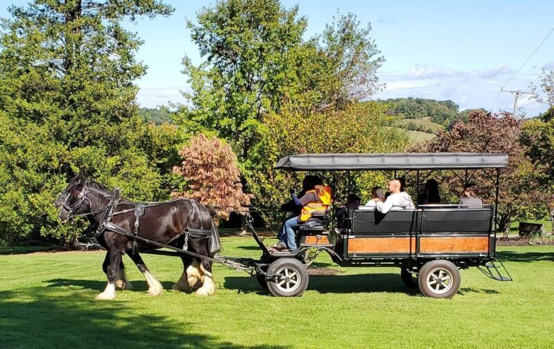 Gettysburg: Horse-Drawn Carriage Tour Countryside & Orchards - What’s Not Included or Allowed