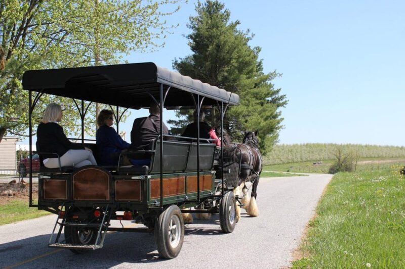 Gettysburg: Horse-Drawn Carriage Tour Countryside & Orchards - The Sum Up: Who Will Love This Tour?