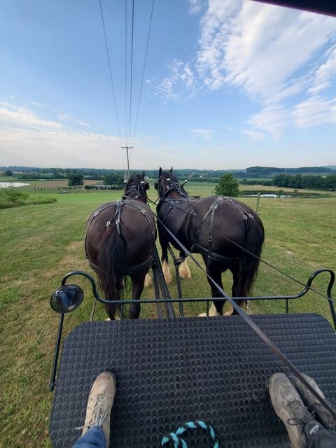 Gettysburg: Horse-Drawn Carriage Tour Countryside & Orchards - FAQ