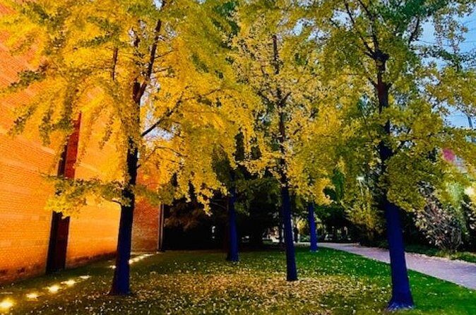 Ghostly Tales of Salem Walking Tour - FAQs