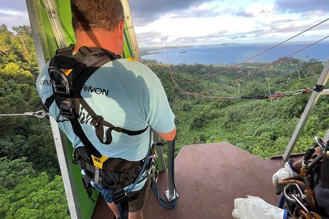 Giant Canyon Swing with Transfers - Authentic Insights from Reviewers