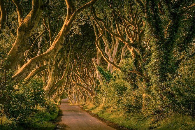 Giant Causeway, Dark Hedges & Whiskey Distillery tour from Dublin - Is This Tour Worth It?