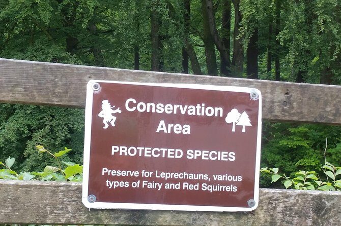 Giants causeway and Glens of Antrim day trip - Final Thoughts