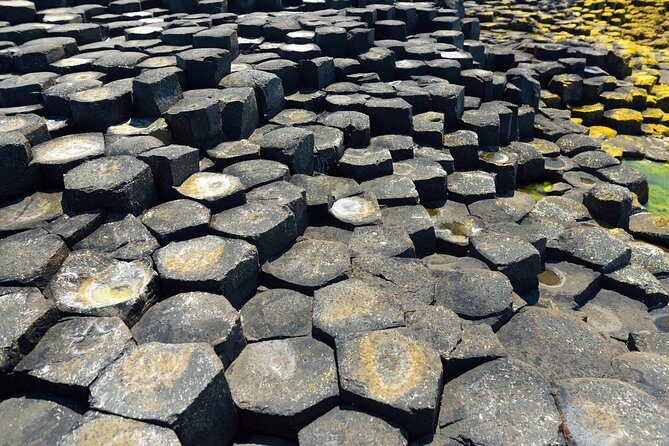 Giant's Causeway Custom Tailored Award Winning Private Tour. - Transportation and Flexibility
