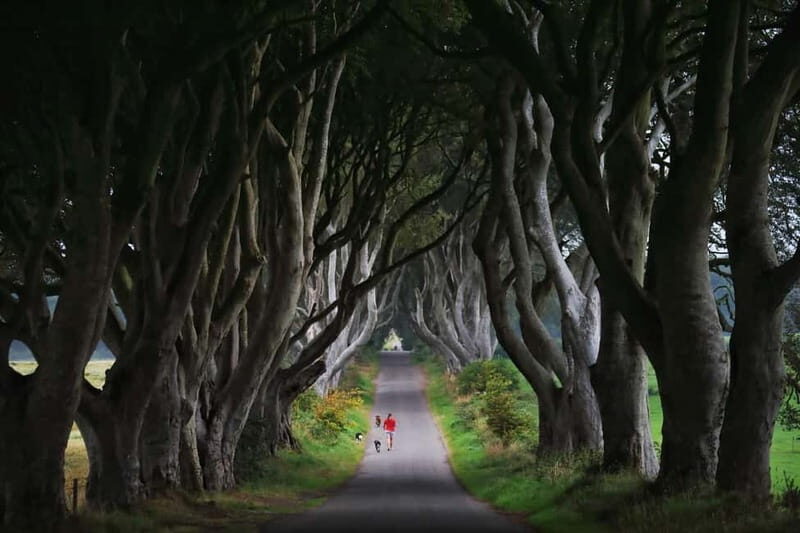 Giants causeway Irish castles & whiskey, Game of thrones - FAQ: Your Questions Answered