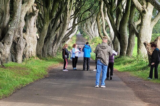Giants causeway private tour 1 to 7 people - The Sum Up: Why This Tour Is a Solid Choice