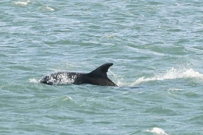 Giant's Causeway Private Tour from Belfast in Luxury Mercedes - Final Thoughts