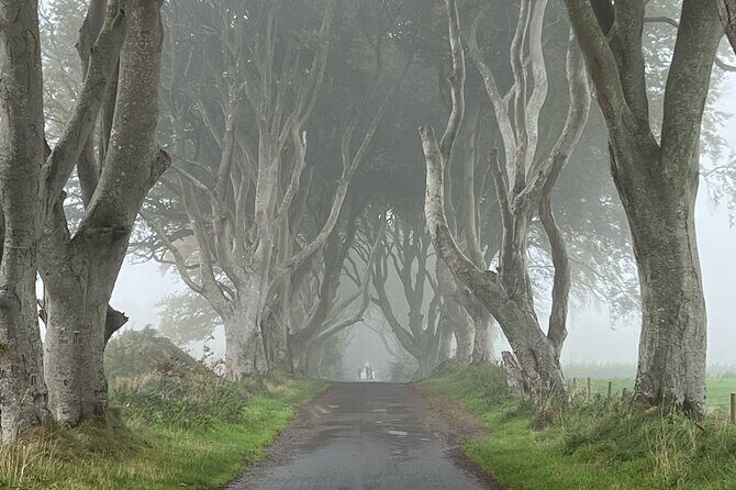 Giants Causeway Tour from Belfast in luxury 7 seater - Final words
