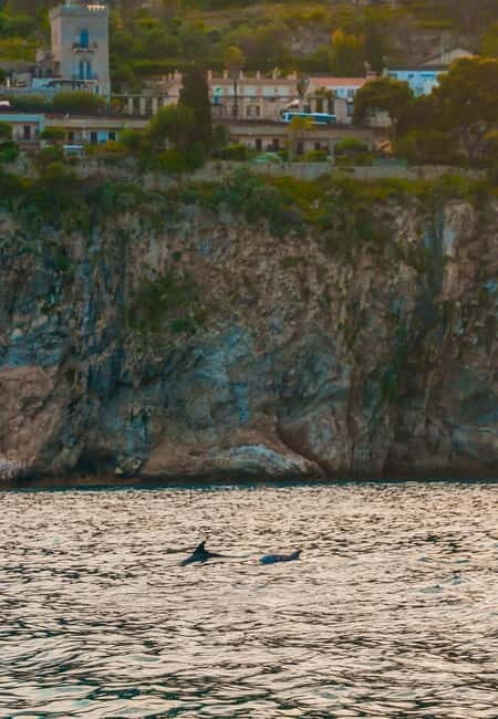 Giardini Naxos Taormina: Dolphin Watching Sunset Tour - Who Is This Tour Best For?