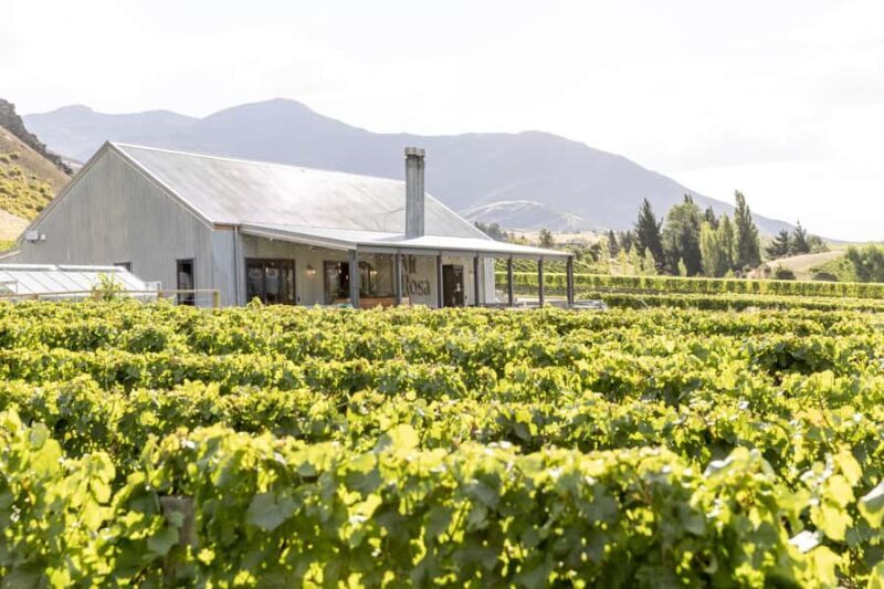 Gibbston: Mt Rosa Wine Tasting Experience - Key Points