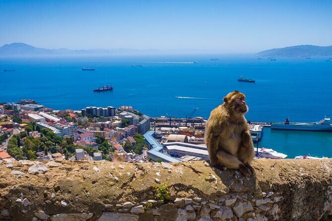 Gibraltar and Mijas Tour from Málaga - The Sum Up  