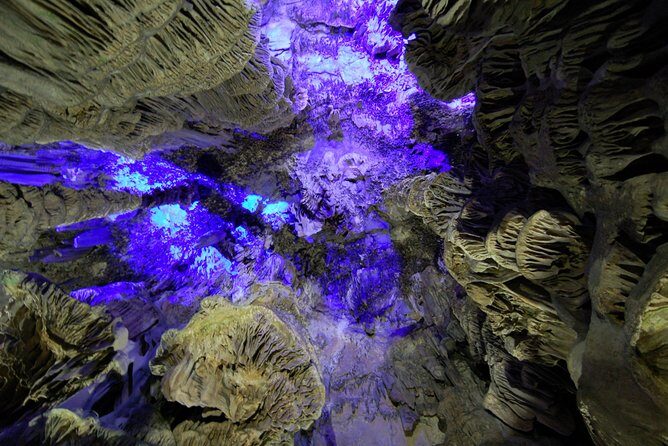 Gibraltar Day Trip from Seville - What Makes This Tour Stand Out