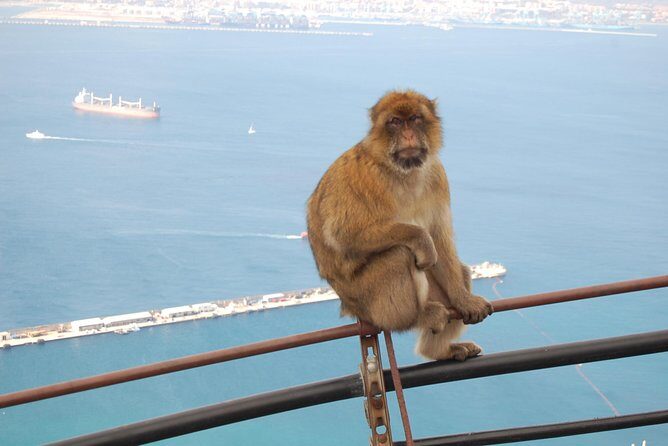 Gibraltar Day Trip from Seville - Frequently Asked Questions