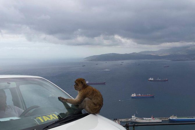 Gibraltar Day Trip from Seville + Rock Tour - Final Words