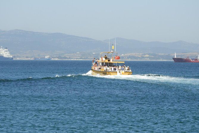 Gibraltar Dolphin Adventure - Authentic Experiences from Reviewers