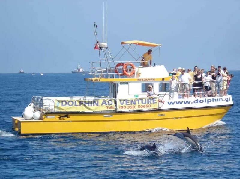 Gibraltar: Dolphin Watching Tour - In-Depth Review: What Makes This Dolphin Watching Tour Special