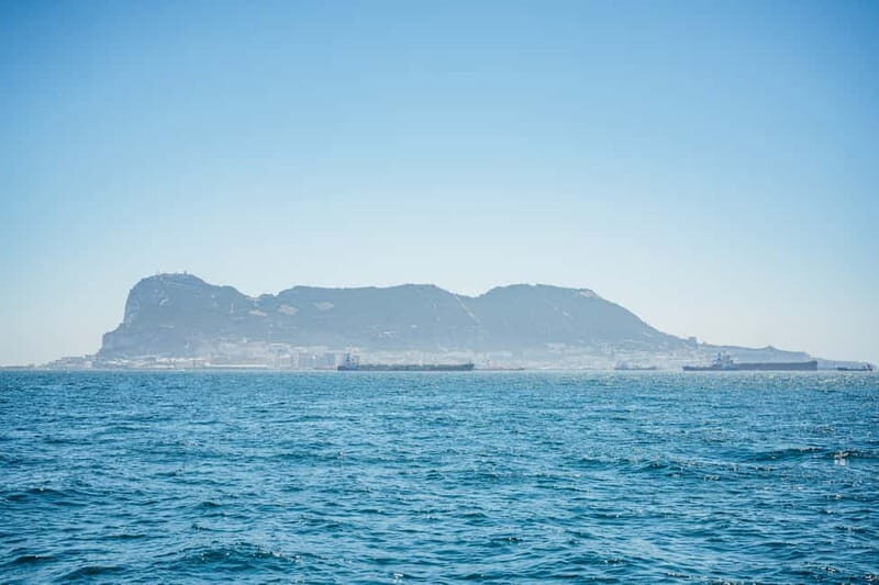 Gibraltar: Dolphin Watching Tour - Who Should Book This Tour?
